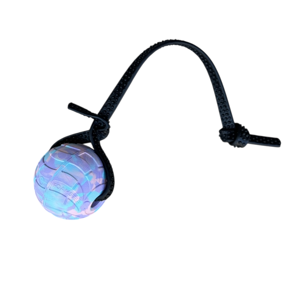 Foamster Limited Edition – Foam Dog Balls