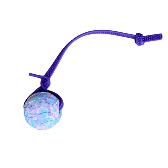 Custom Dog Balls | Dog Training Tools | Dog Ball Straps | Dog Rewards ...