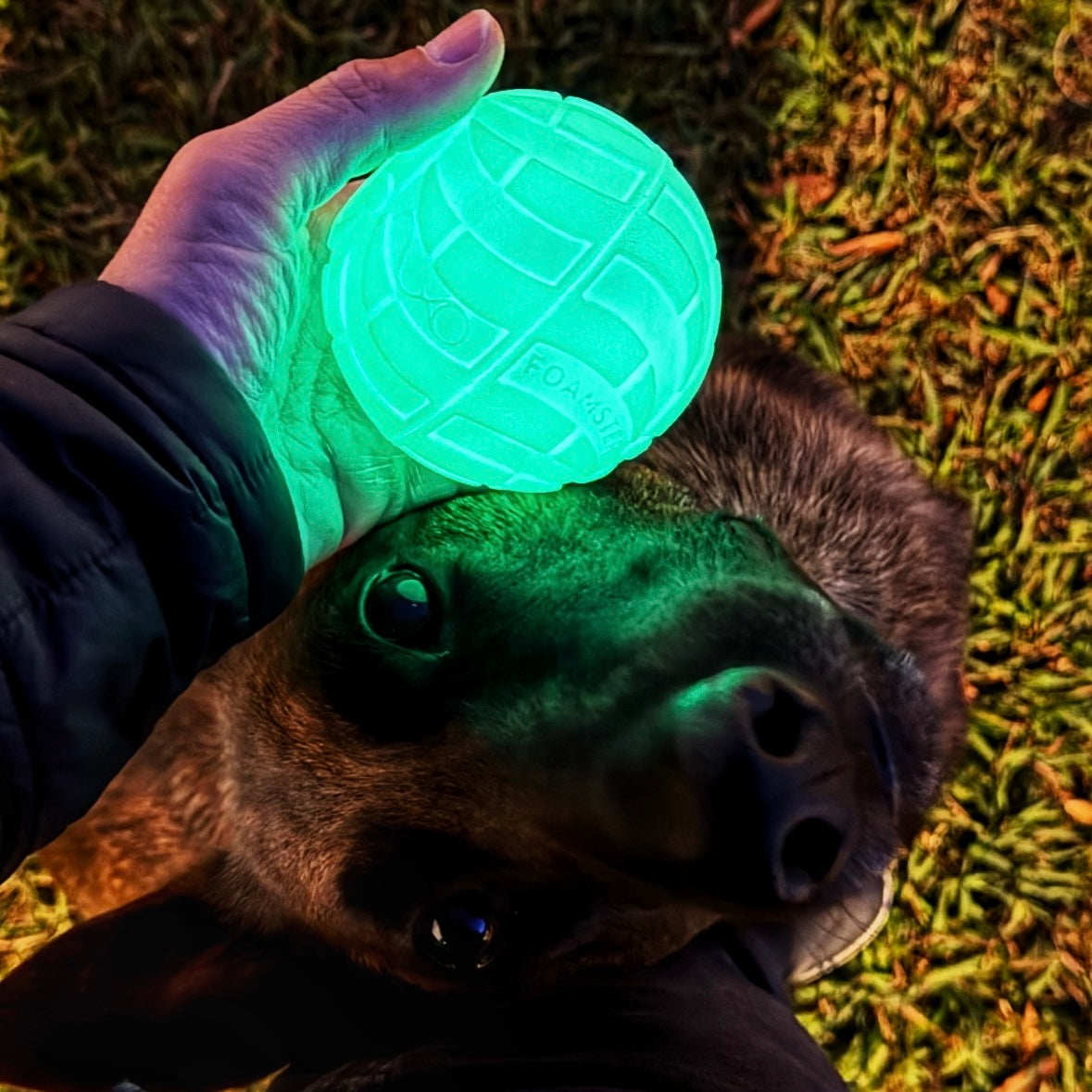 Foamster Glow Ball – Foam Dog Balls