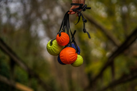 Custom Dog Balls | Dog Training Tools | Dog Ball Straps | Dog Rewards ...