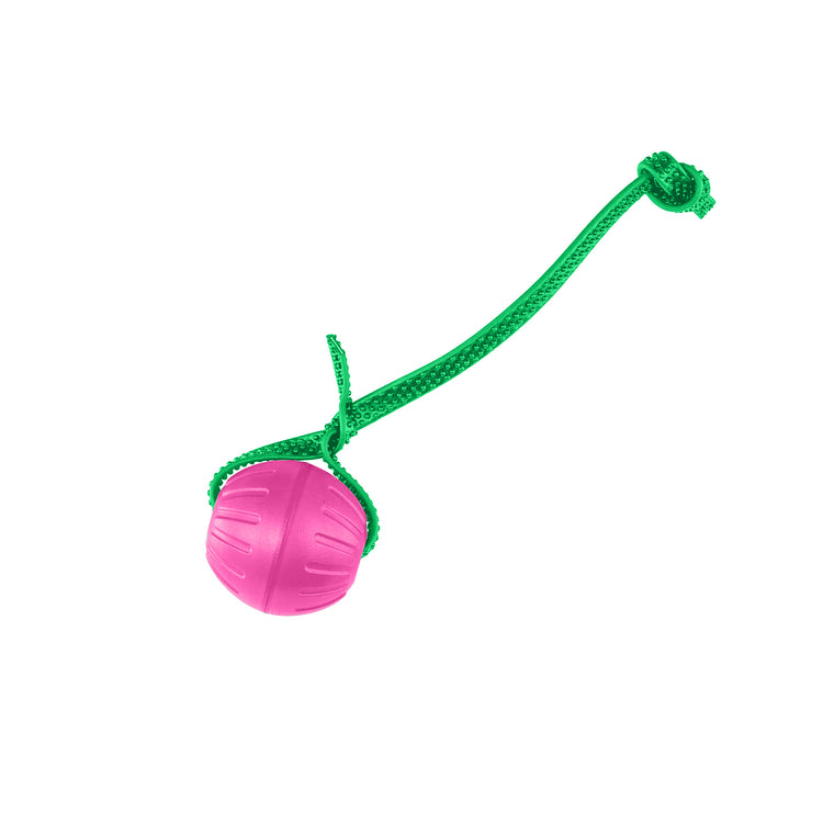 Custom Dog Balls | Dog Training Tools | Dog Ball Straps | Dog Rewards ...