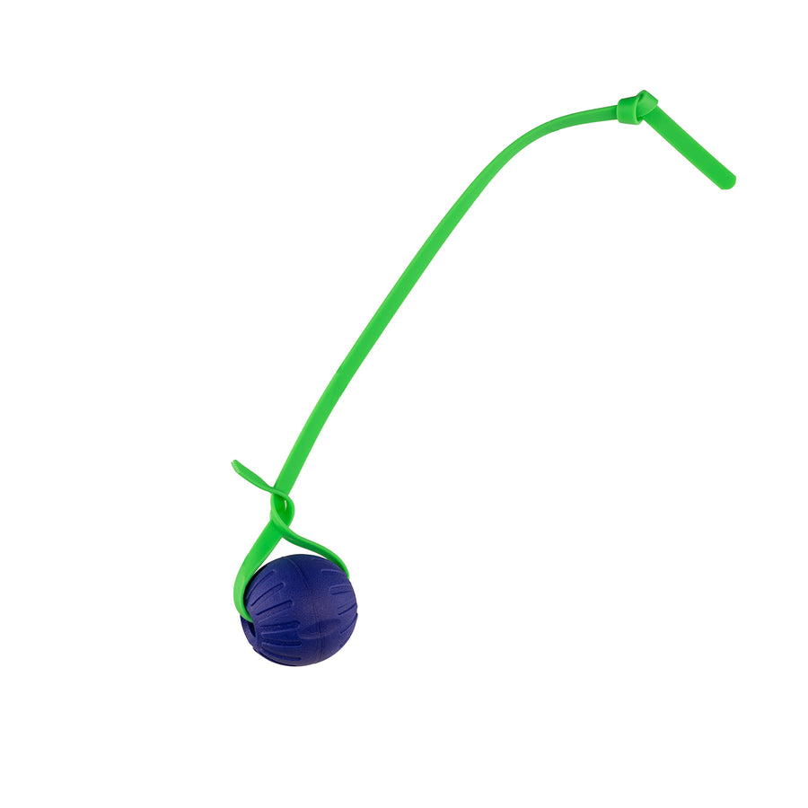 Custom Dog Balls | Dog Training Tools | Dog Ball Straps | Dog Rewards#N ...